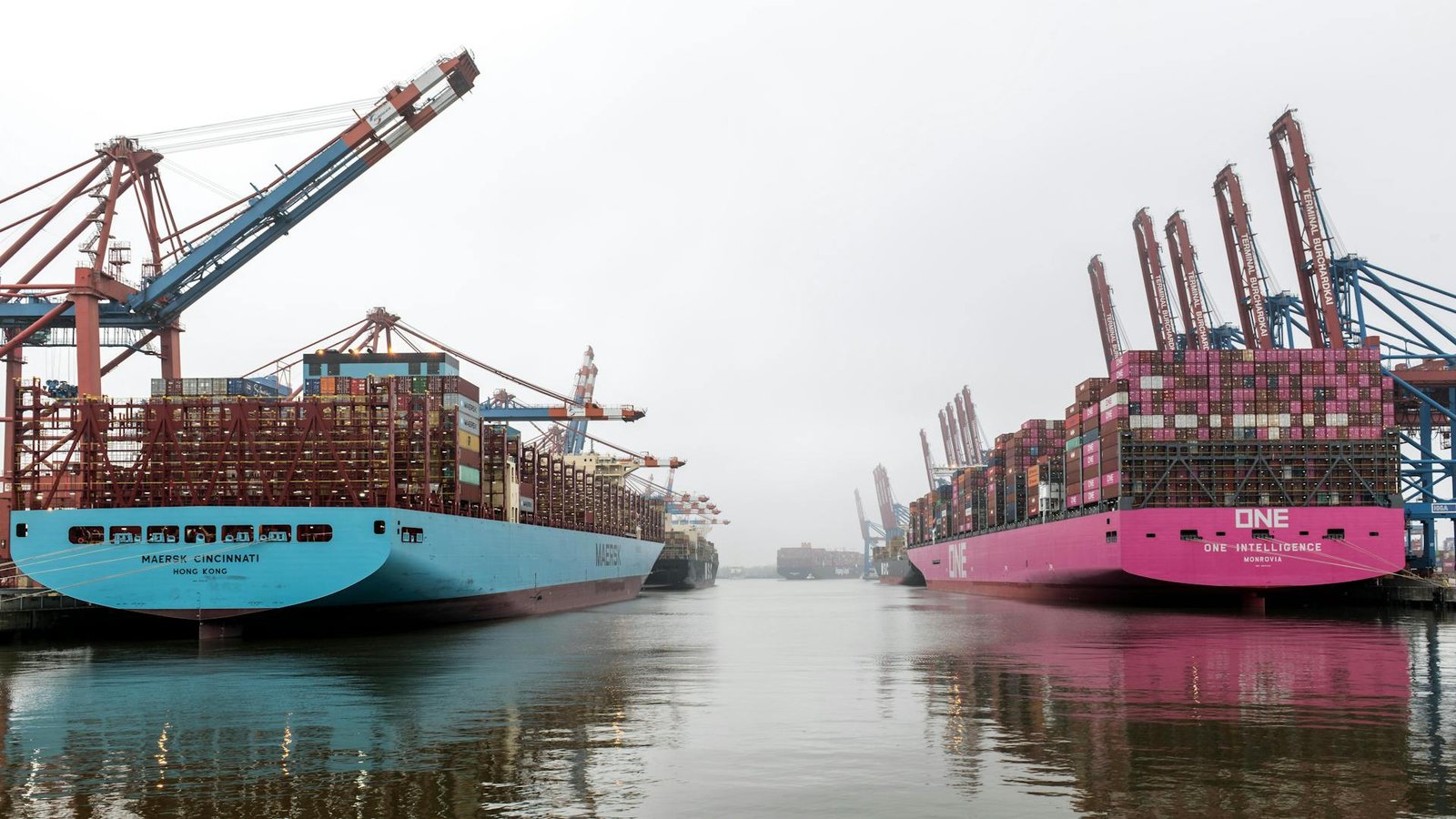Ocean Shipping Explained: The Ultimate Guide to Global Sea Freight 2025 ...
